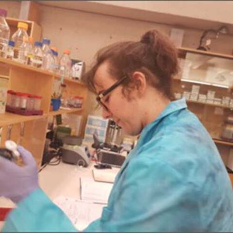 uleth-2018-updated - MindFuel